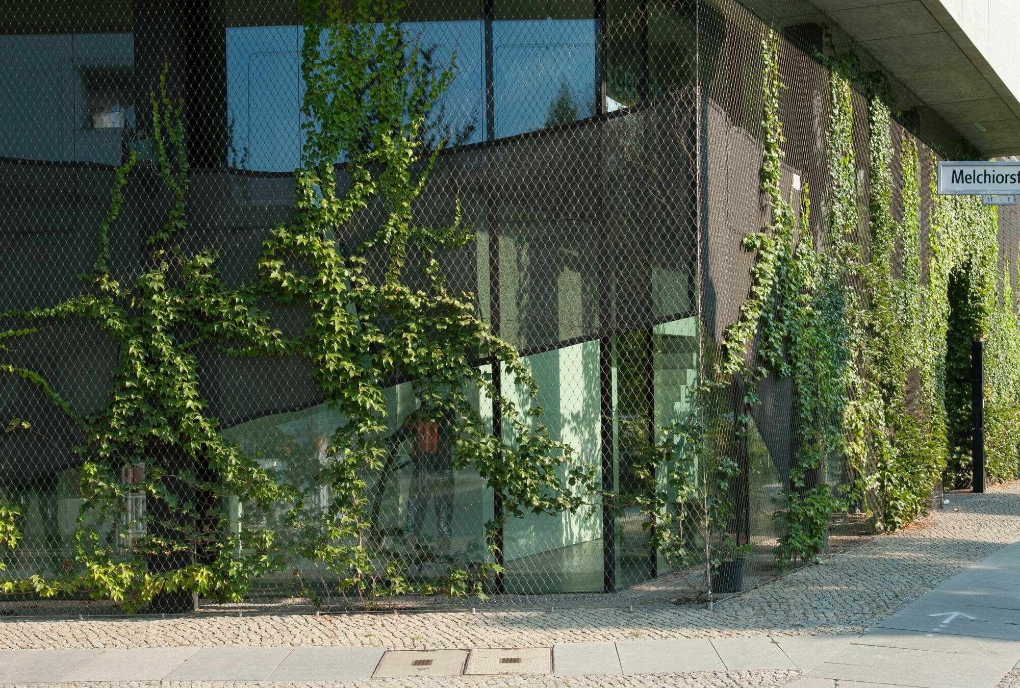 Sonderform: Begrünte Fassaden | Fassade | Fassadenarten | BauNetz Wissen