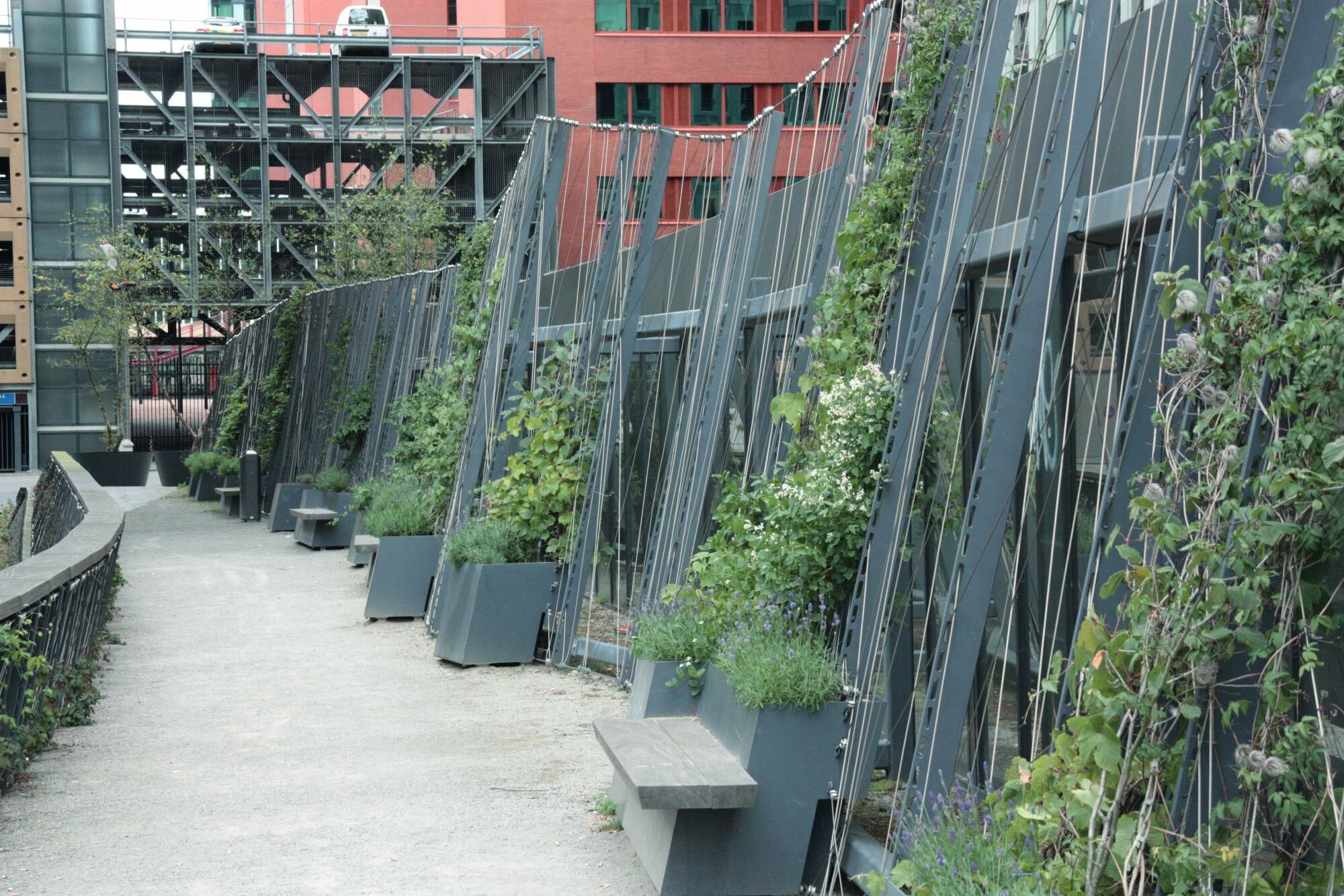 Sonderform: Begrünte Fassaden | Fassade | Fassadenarten | BauNetz Wissen