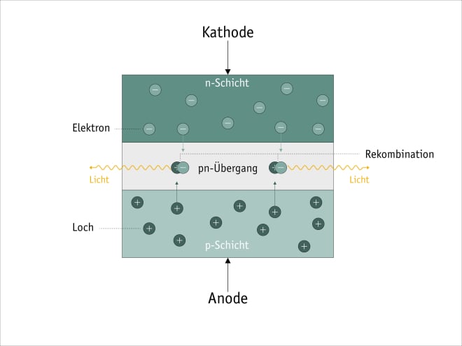 LED-Lampen | Elektro | Beleuchtung | BauNetz Wissen