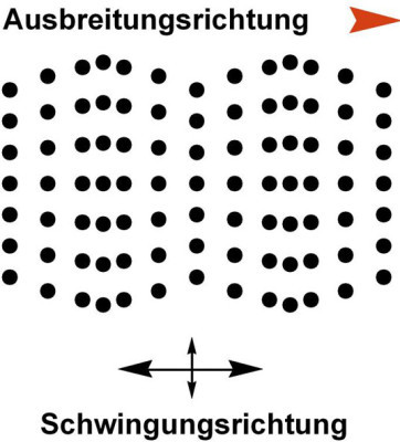 Transversalwelle | Akustik | Schallarten | BauNetz Wissen