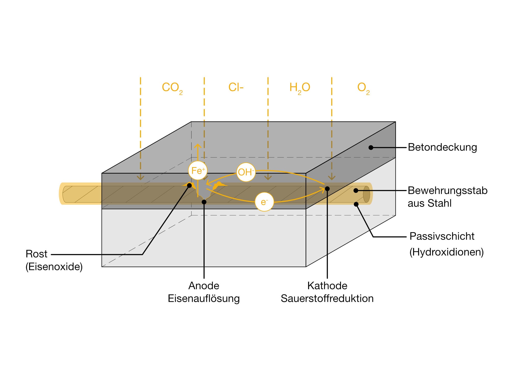 Korrosionsschutz | Beton | Bewehrung | BauNetz Wissen