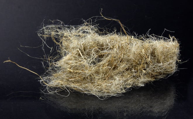 Flachs | Dämmstoffe | Dämmstoffe | BauNetz Wissen