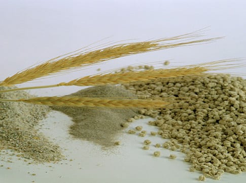 Expandiertes Polystyrol (EPS) | Dämmstoffe | Dämmstoffe | BauNetz Wissen