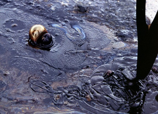 Bitumen und seine Geschichte | Flachdach | Bitumendachbahnen | BauNetz ...