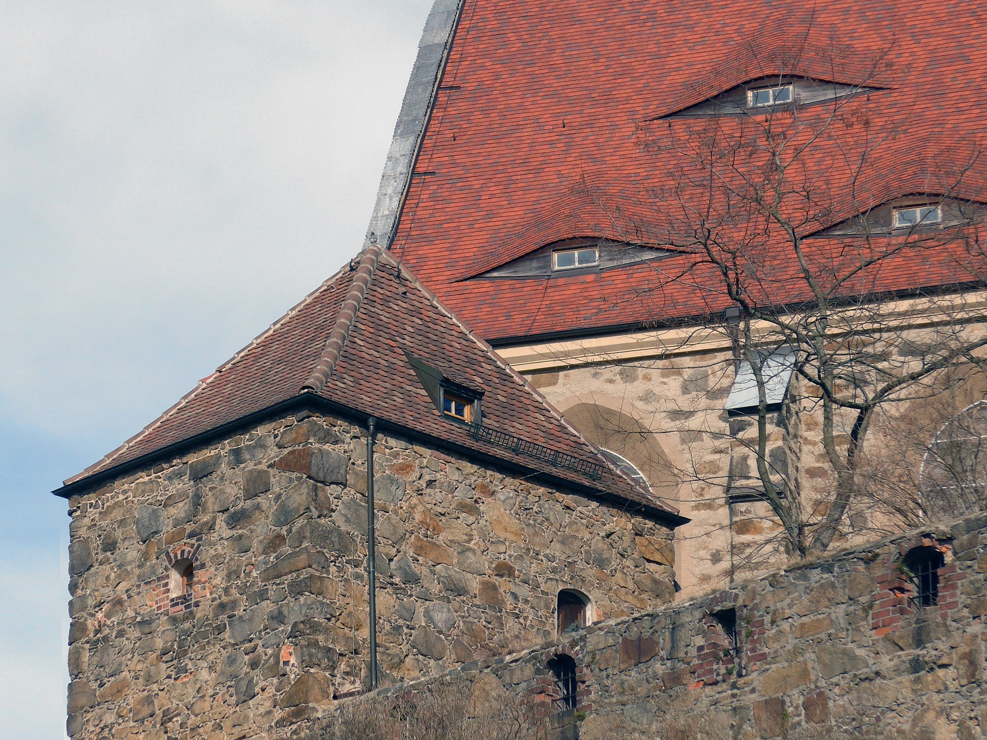 Sheddach | Geneigtes Dach | Dachformen | BauNetz Wissen