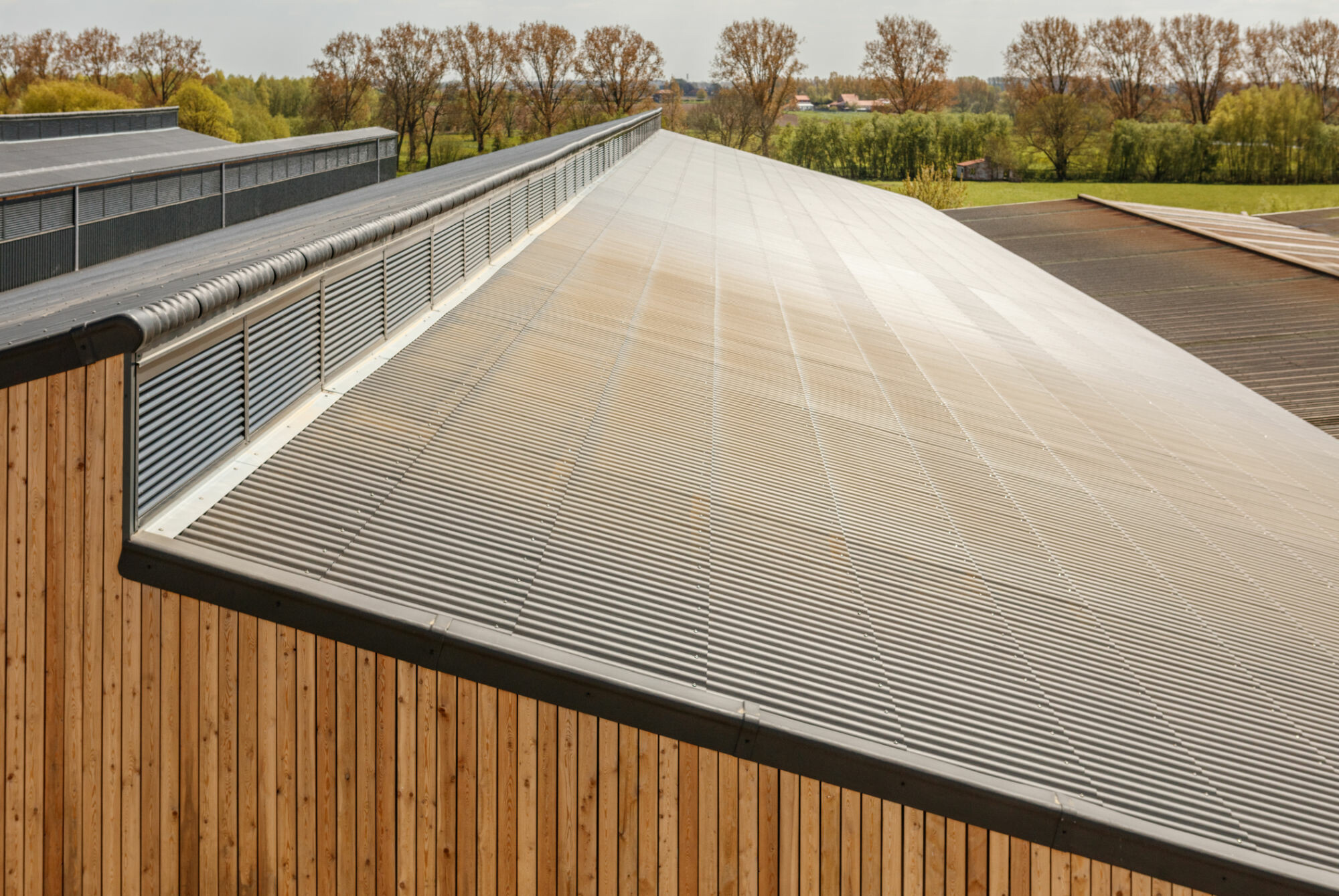 Faserzementplatten | Geneigtes Dach | Dachdeckungen | BauNetz Wissen