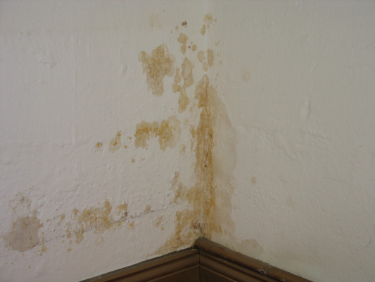 Feuchte: Entstehung, Arten und Beseitigung | Gebäudetechnik | Bauphysik ...