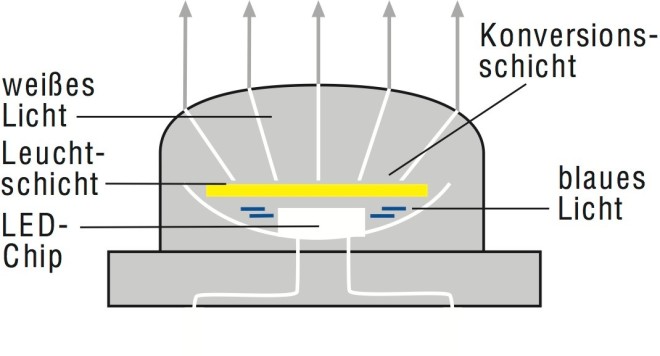 LED | Licht | Leuchtmittel/Lampen | Baunetz_Wissen