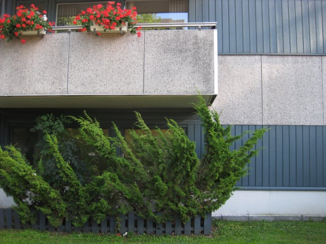 Waschbeton | Beton | Glossar | BauNetz Wissen