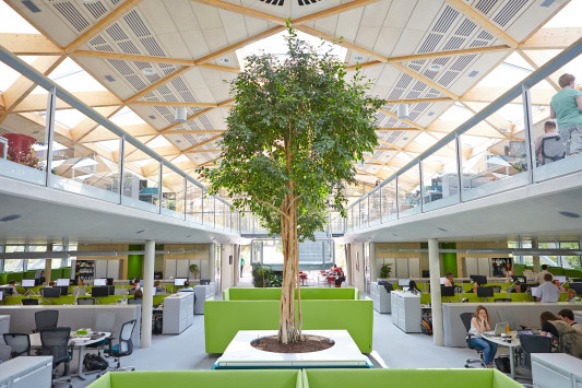 WWF-Hauptquartier Living Planet Centre in Woking | Gebäudetechnik ...
