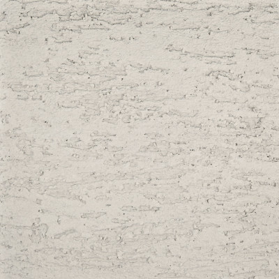 Verputztechniken und Putzoberflächen | Mauerwerk | Mörtel/Putze ...