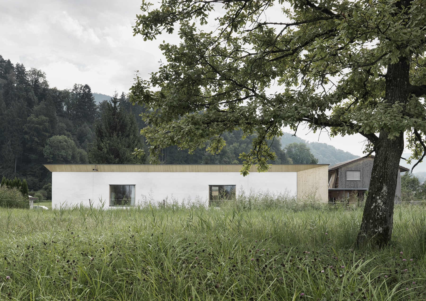 Strohhaus in Dornbirn | Nachhaltig Bauen | Wohnen | BauNetz Wissen