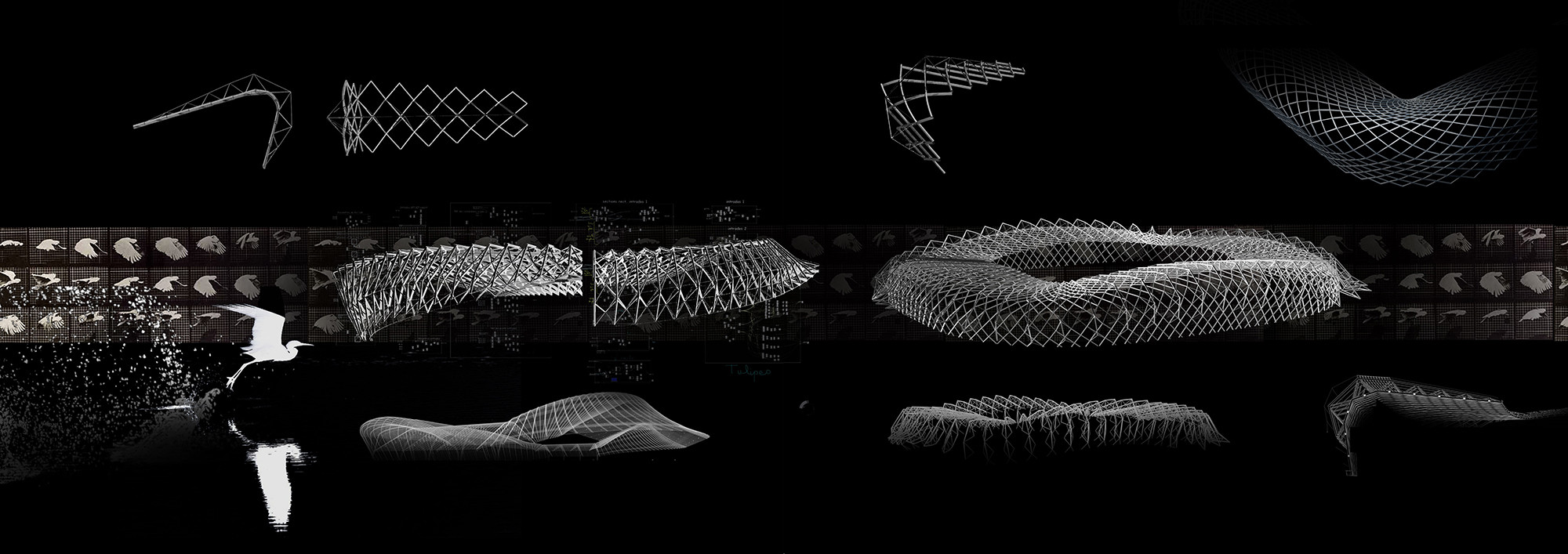 Allianz Riviera in Nizza | Gebäudetechnik | Freizeit/Sport | Baunetz_Wissen