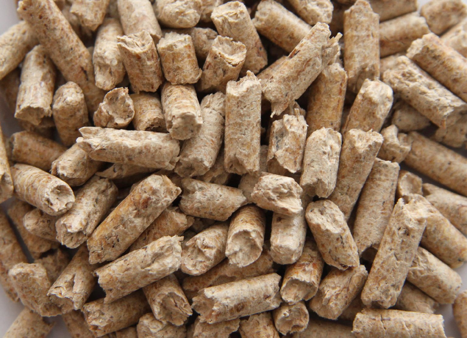 Holzpellets | Holz | Glossar | BauNetz Wissen