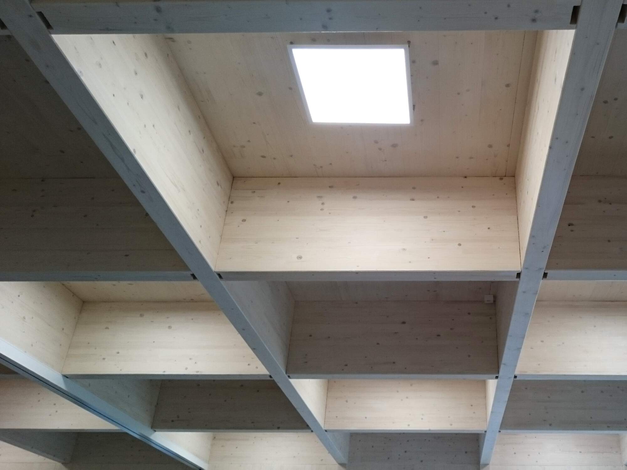 Möglichkeiten der Vorfertigung | Holz | Einführung | BauNetz Wissen