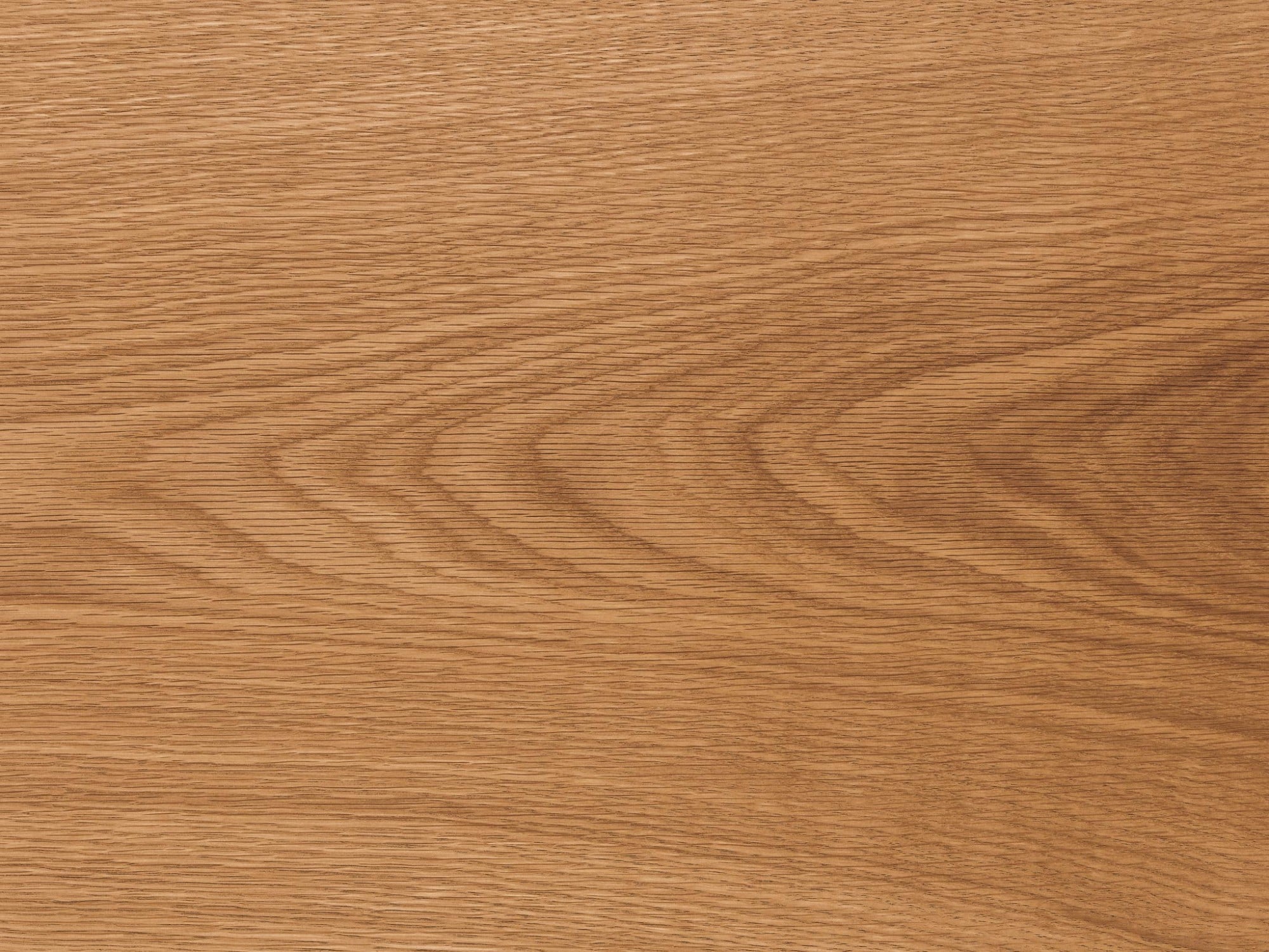 Textur | Holz | Glossar | Baunetz_Wissen