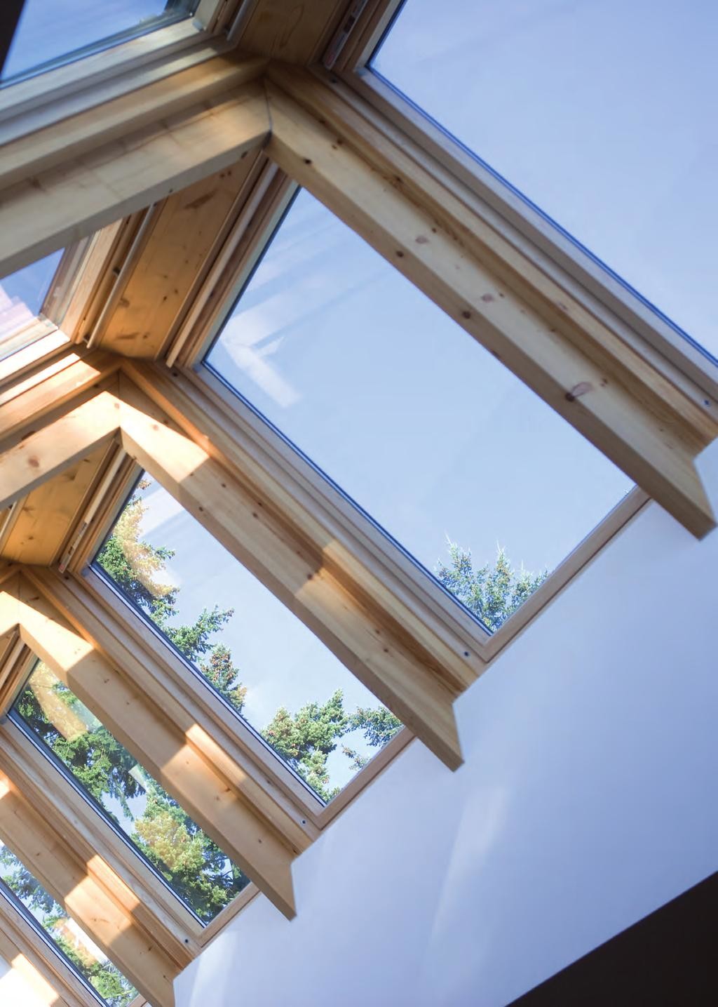 Holzprodukte aus nachhaltiger Forstwirtschaft | Holz | News | BauNetz Wissen