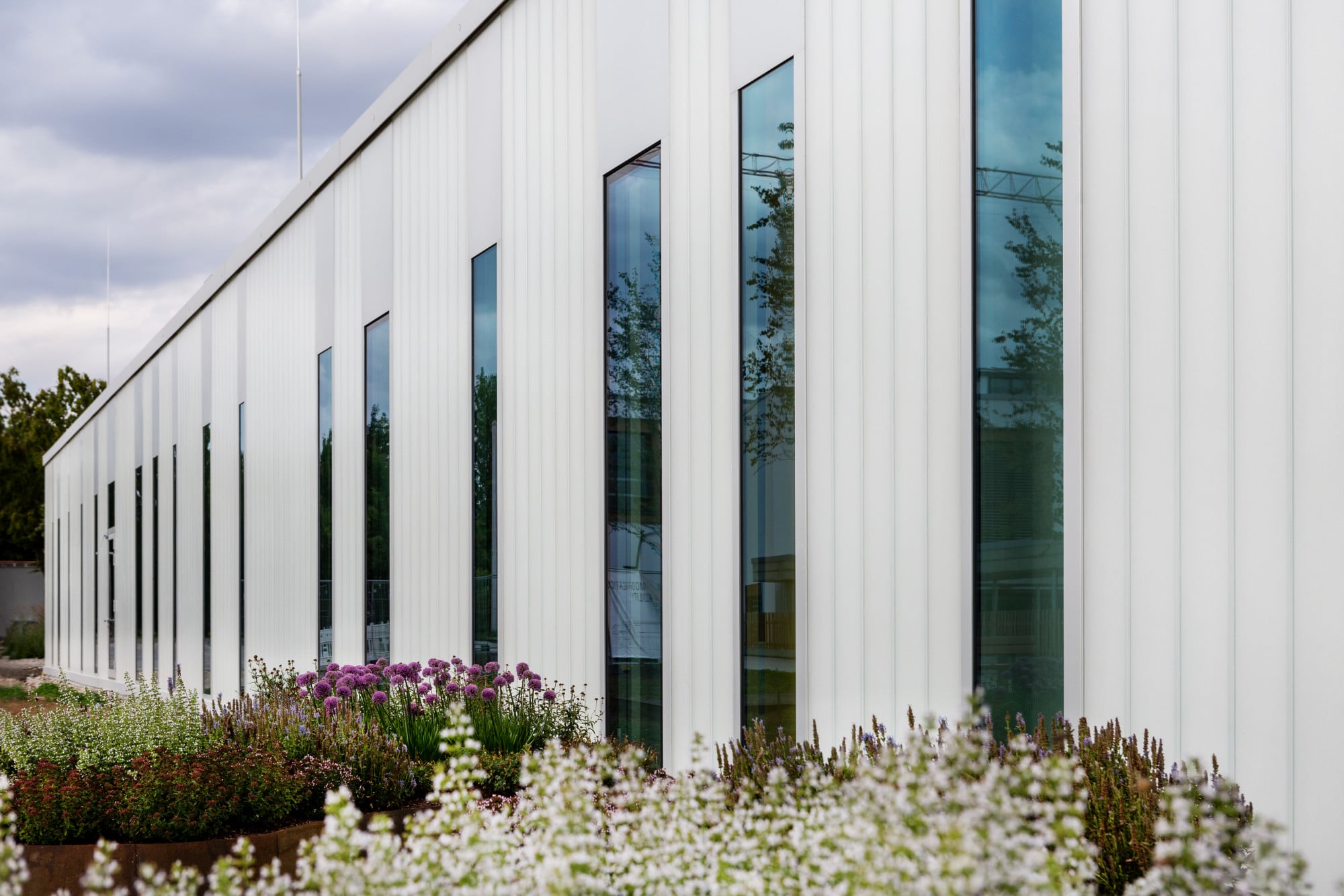 Profilglasfassade mit optimiertem Tageslichteinfall | Glas | News ...