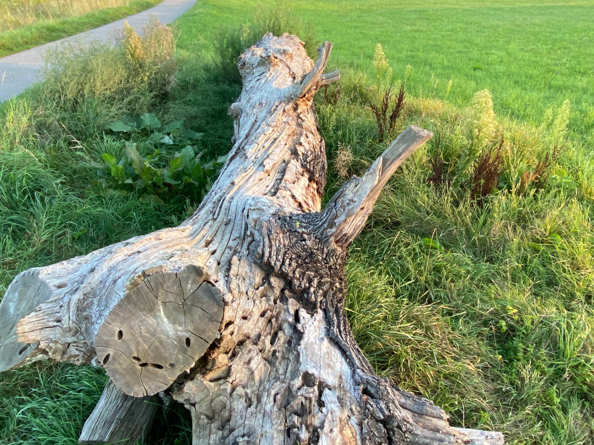 Wiederverwendbarkeit und Kreislaufwirtschaft von Holzbauteilen | Holz ...