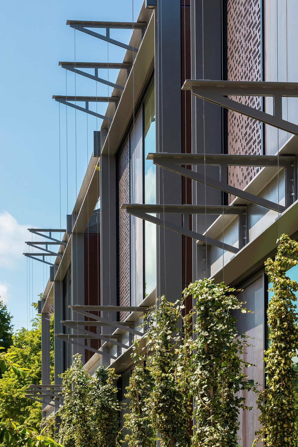Dyson Steam Building, Gresham‘s School in Holt | Sonnenschutz | Bildung ...