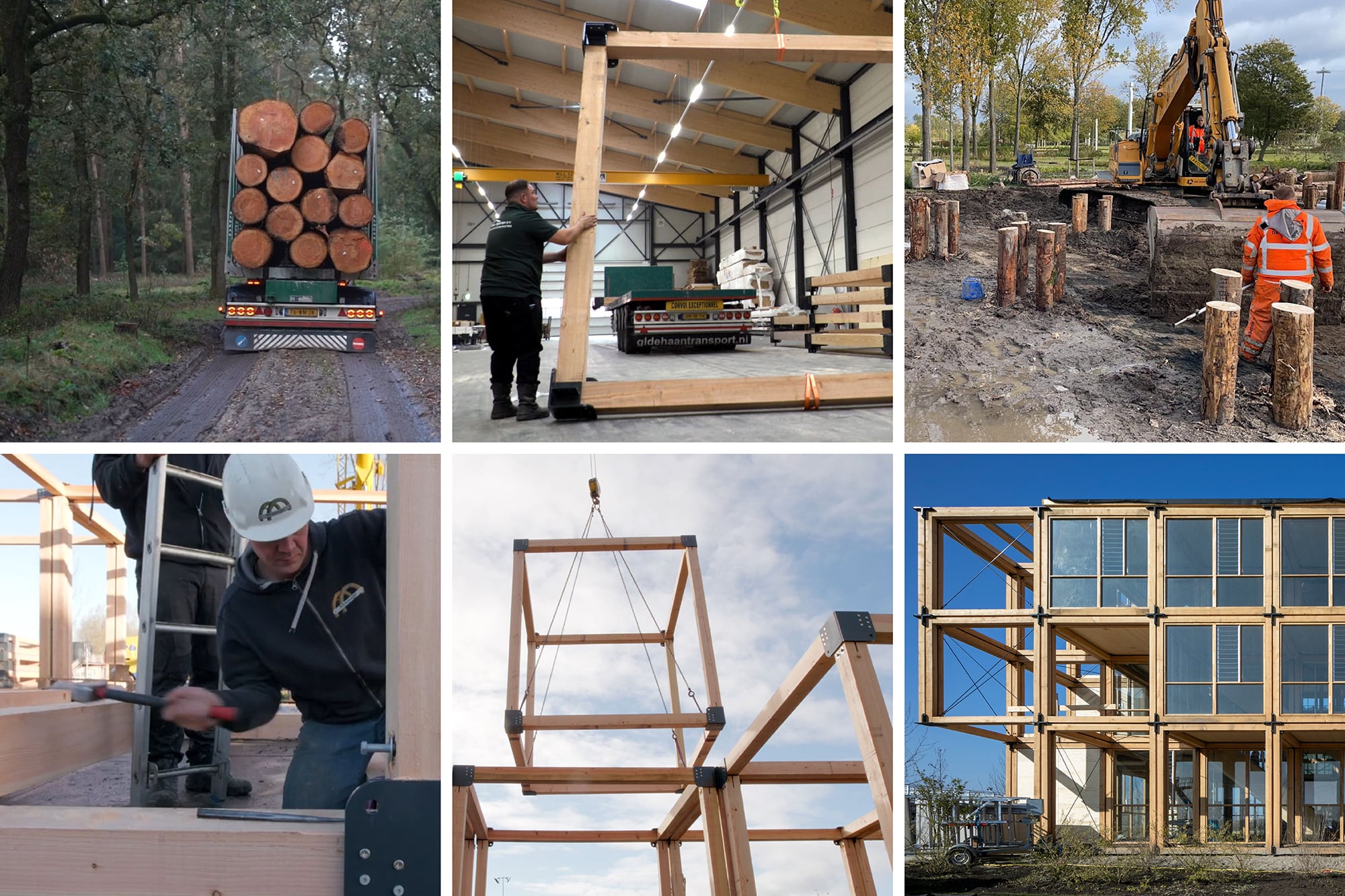 Natural Pavilion auf der Floriade Expo 2022 | Holz | Sonderbauten | BauNetz Wissen