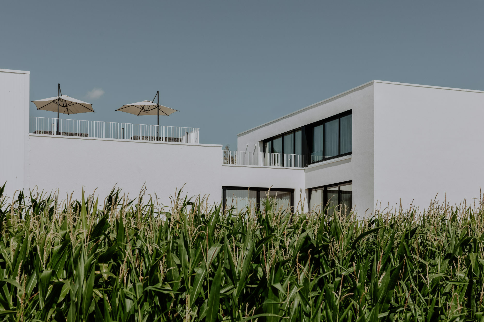 Firmenzentrale Miss Lashes in Horb | Boden | Ladenbau/Gewerbe | BauNetz ...