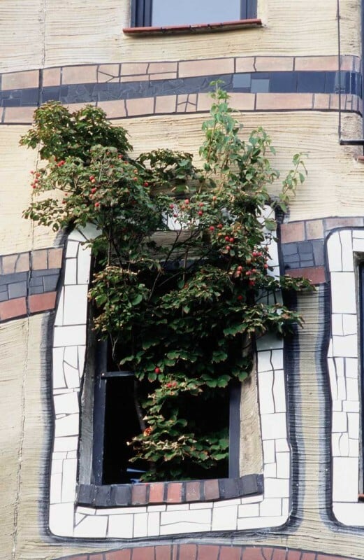 Die Waldspirale von Darmstadt | Stadt- und Dachbegrünung | Wohnen ...