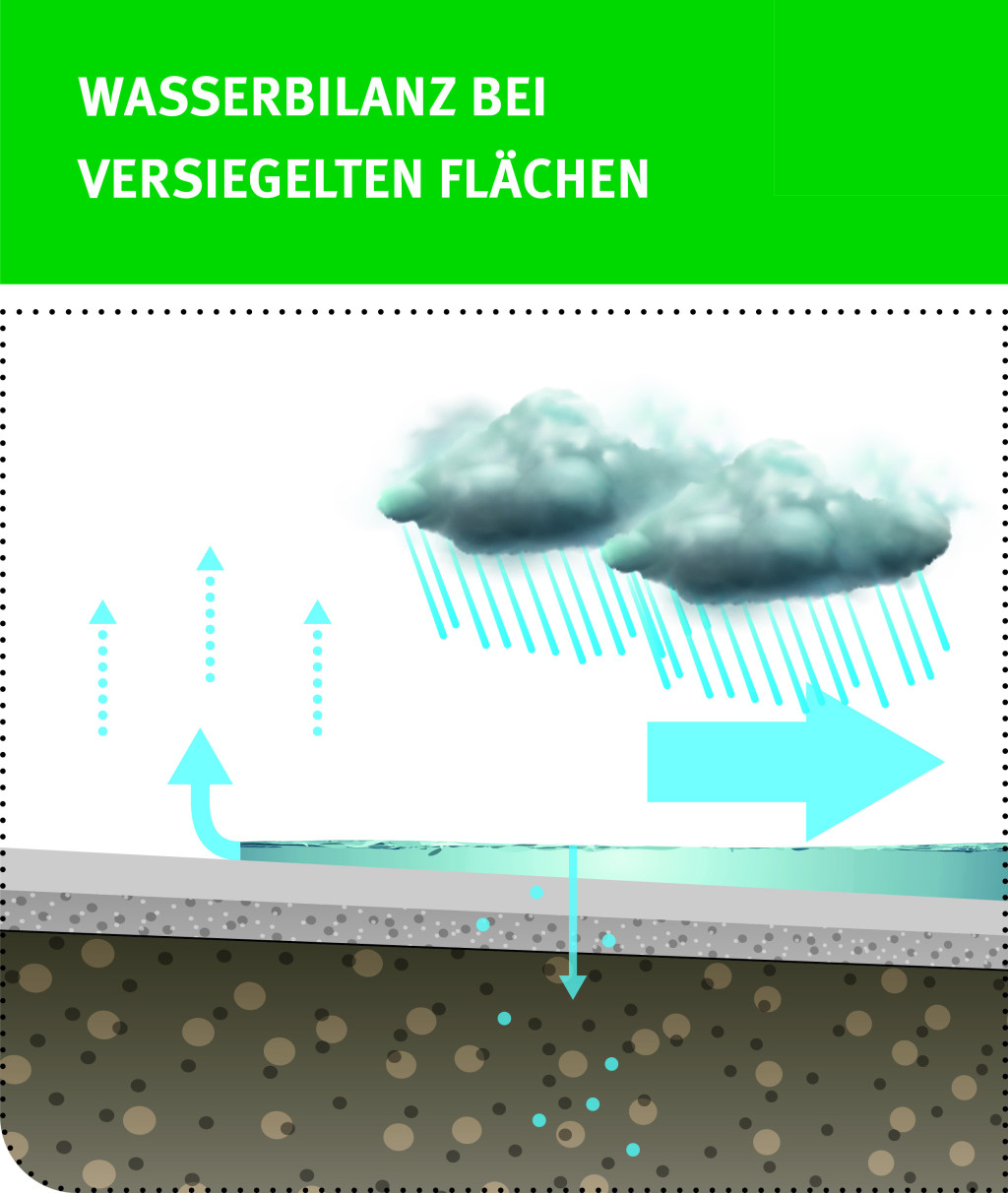 Retention | Stadt- und Dachbegrünung | Glossar | BauNetz Wissen