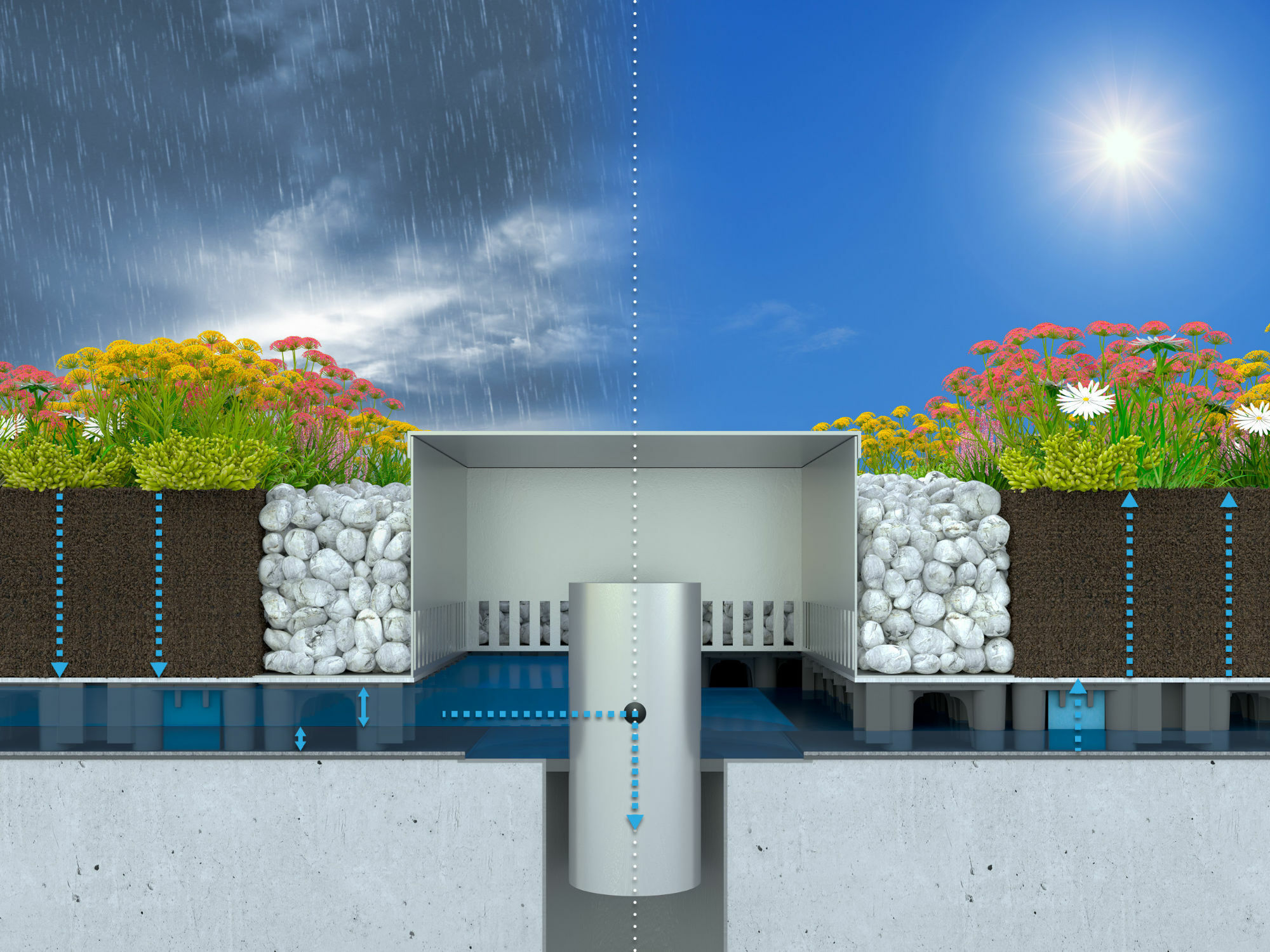 Retentionsdach | Stadt- und Dachbegrünung | Glossar | Baunetz_Wissen