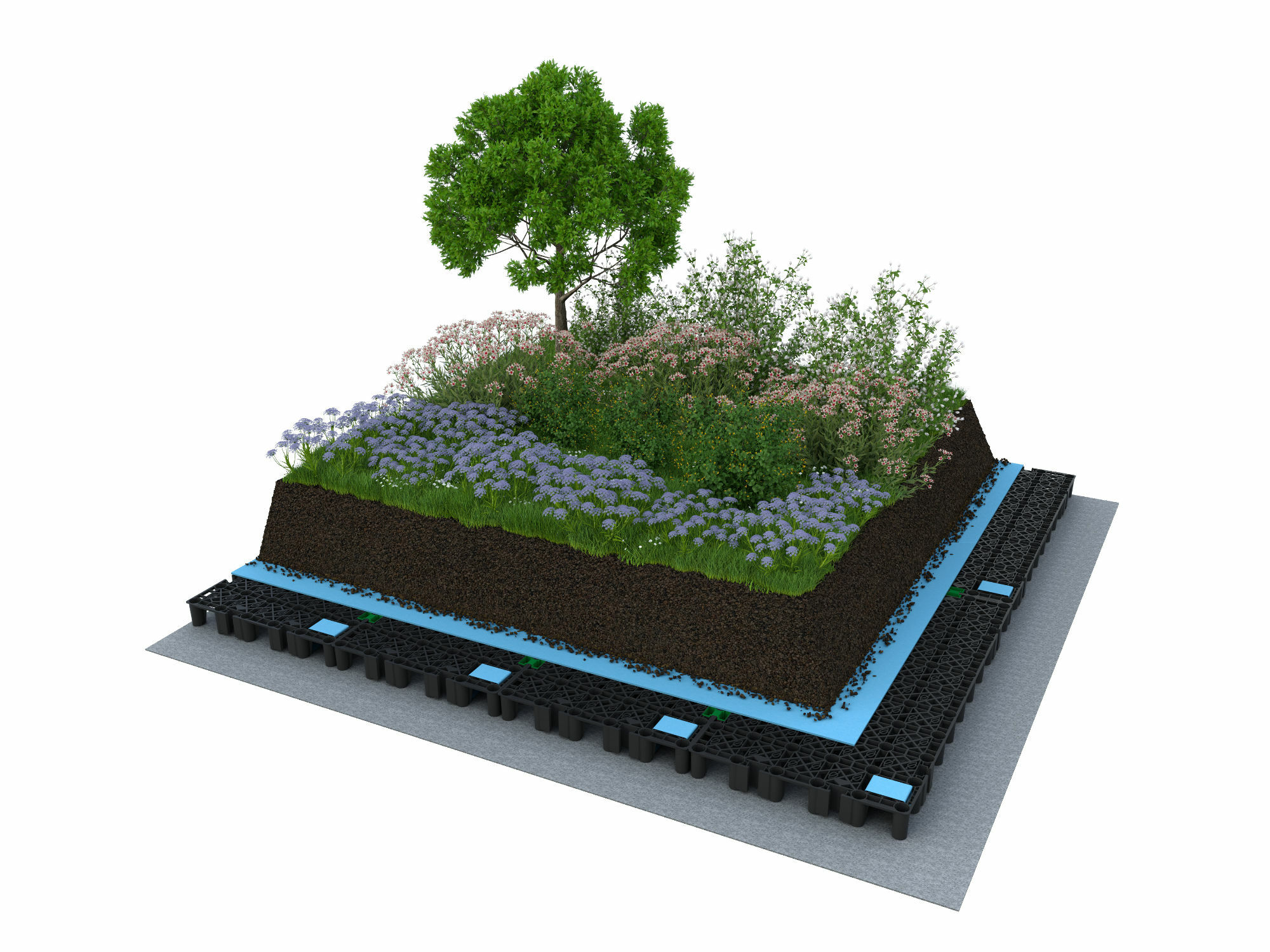 Einführung: Retentionsdach | Stadt- und Dachbegrünung | _Retentionsdach | BauNetz Wissen