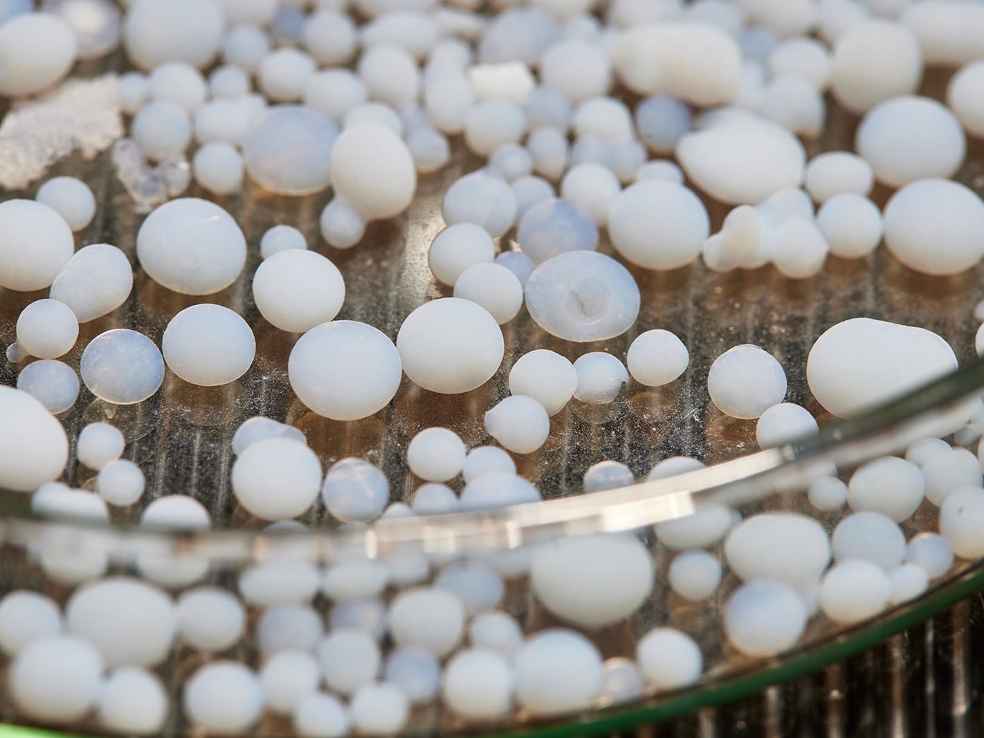 Zellulose | Dämmstoffe | Dämmstoffe | BauNetz Wissen