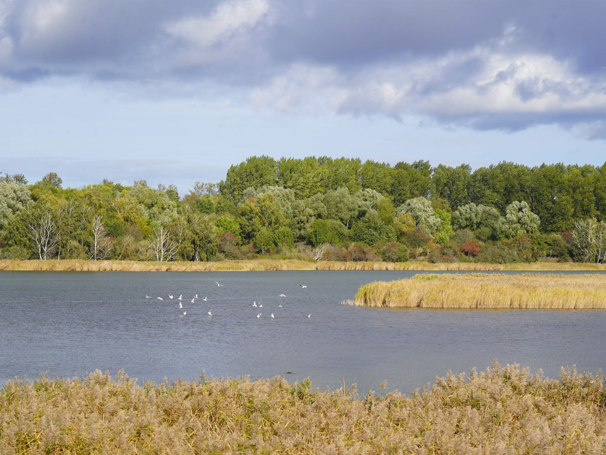 Wasserarten und -qualitäten | Wasserkreislauf | Einführung | Baunetz_Wissen