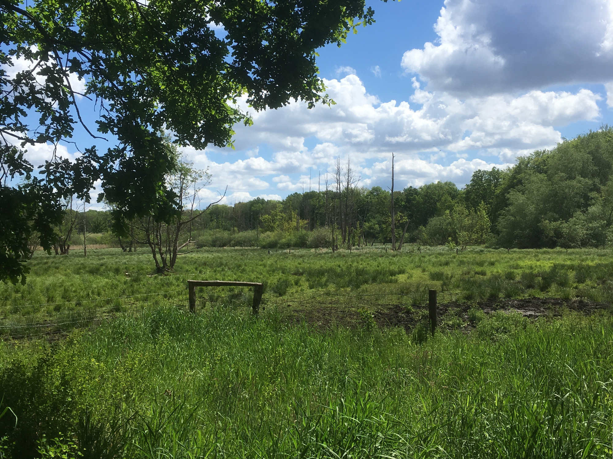 Rieselfelder | Wasserkreislauf | Glossar | BauNetz Wissen