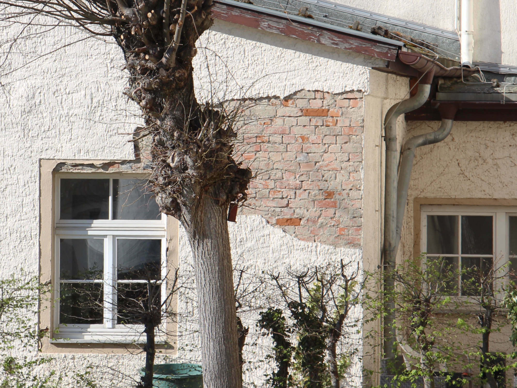 Putz | Fassade | Materialien | BauNetz Wissen