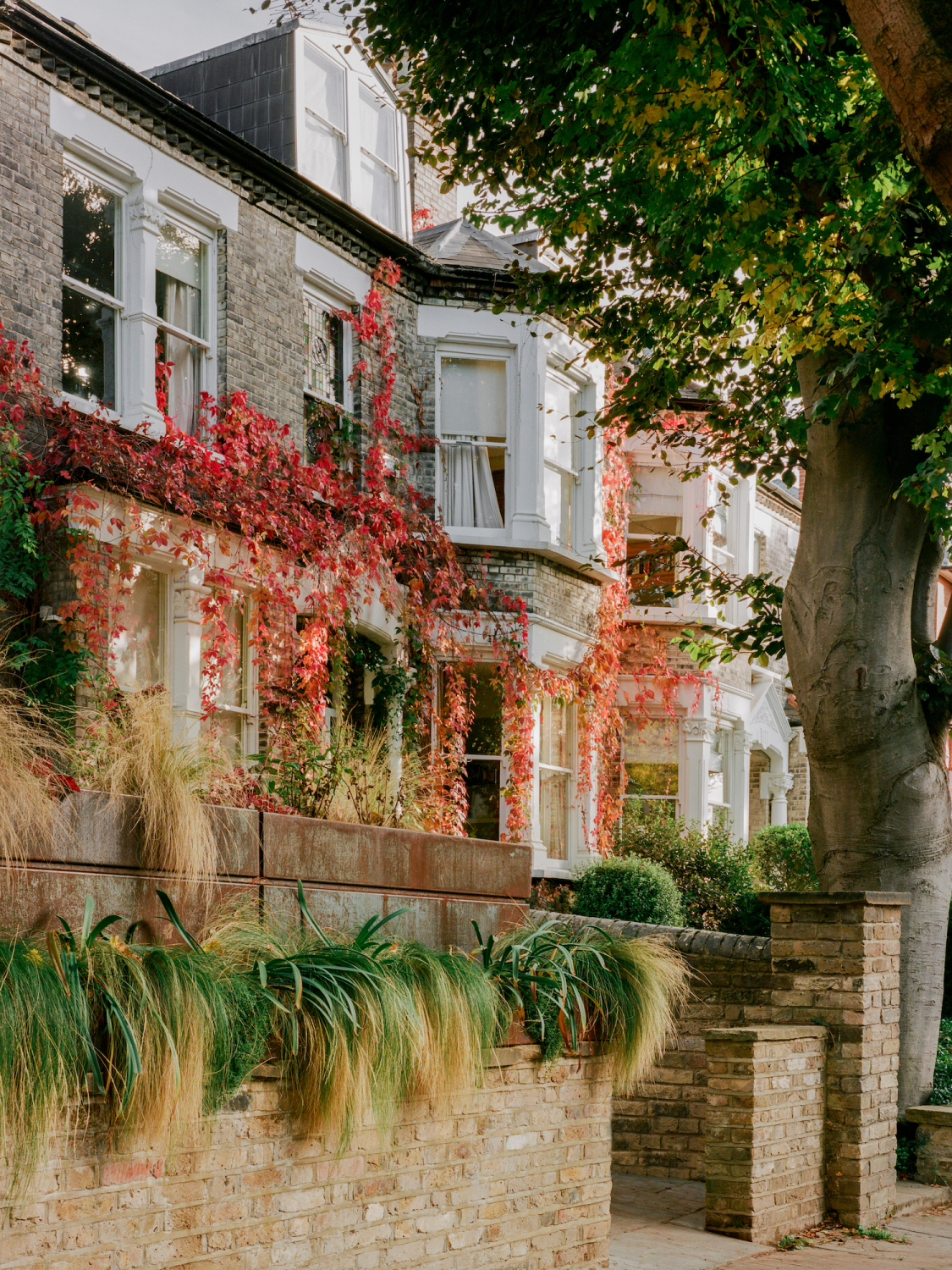 Pigment House in London | Fenster und Türen | Wohnen/EFH | BauNetz Wissen