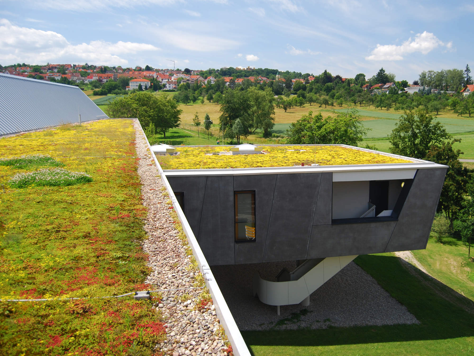 Dachbegrünung | Stadt- und Dachbegrünung | Glossar | Baunetz_Wissen