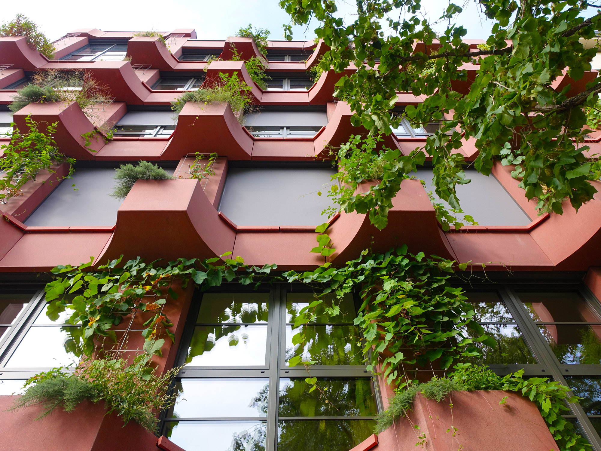 Rankhilfen für die Fassadenbegrünung | Stadt- und Dachbegrünung ...