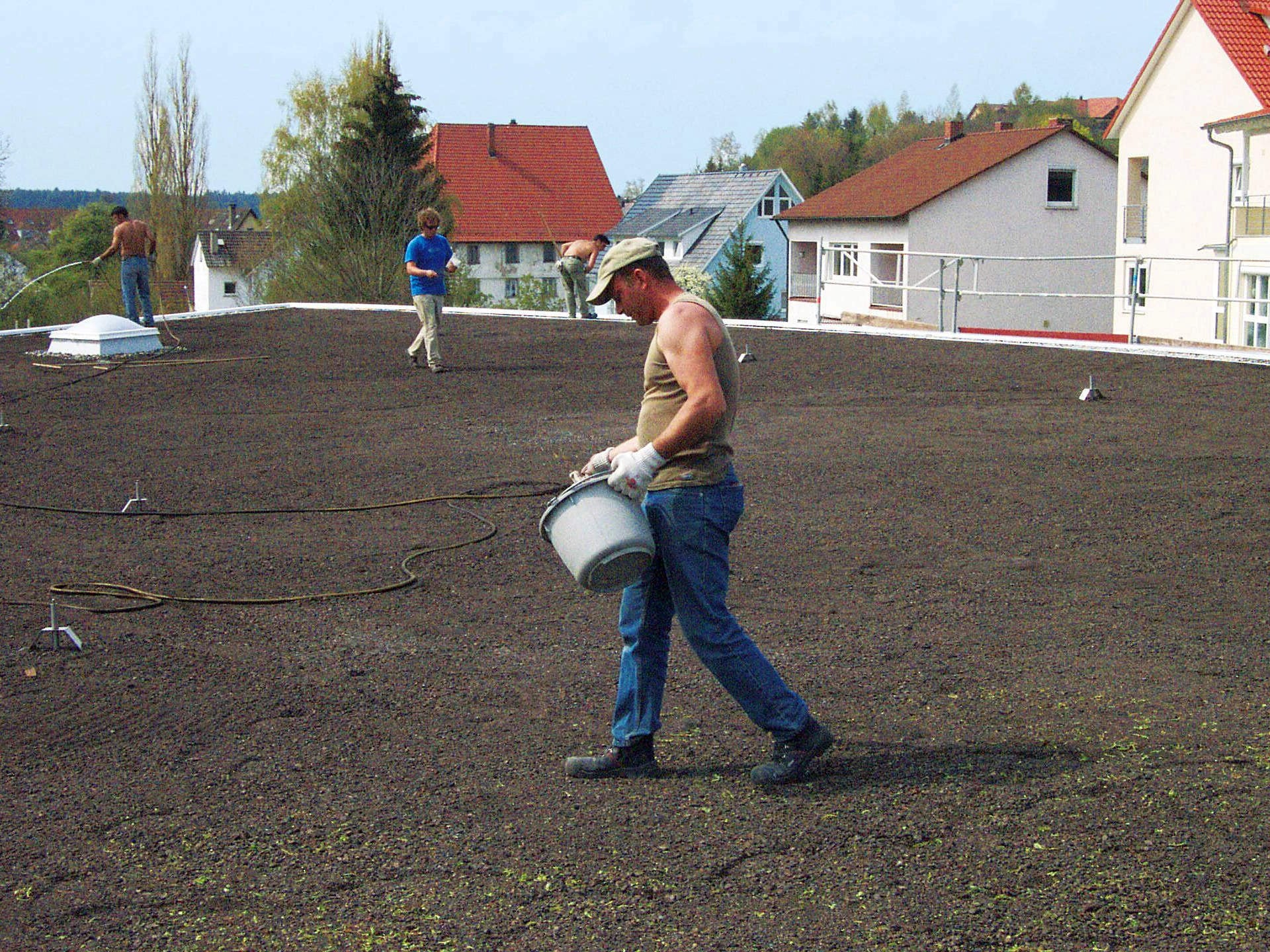 Einführung: Extensive Dachbegrünung | Stadt- und Dachbegrünung | _Extensive Dachbegrünung ...