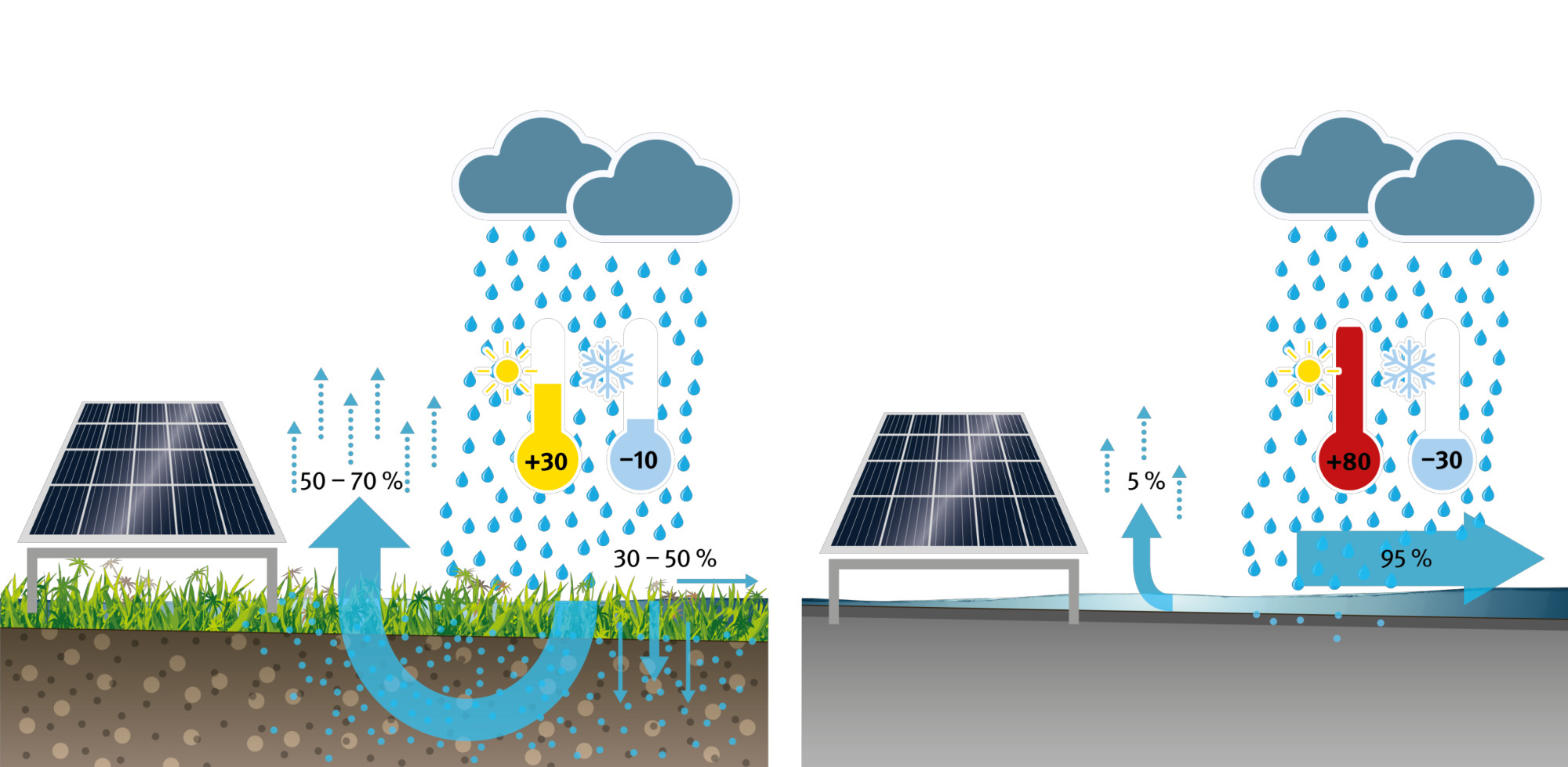 Vertikales PV-System für Gründächer | Stadt- und Dachbegrünung | News ...
