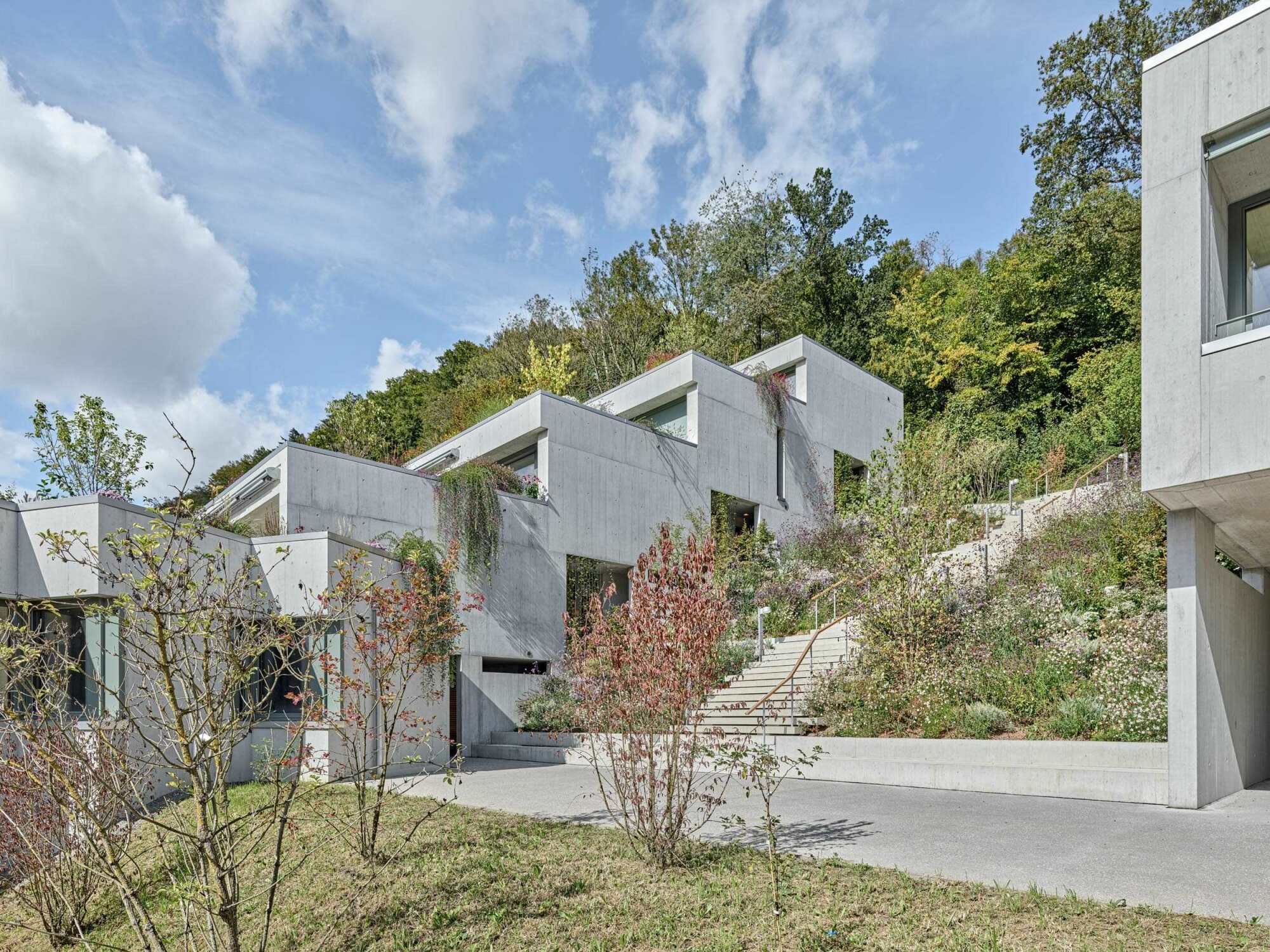 Terrassenhäuser Sommerhalde in Uerkheim | Flachdach | Wohnen/MFH ...