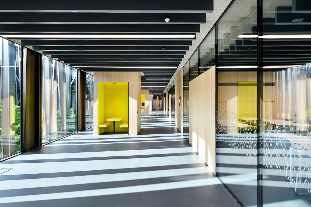 Maria-Ward-Schule in Nürnberg | Glas | Bildung | Baunetz_Wissen