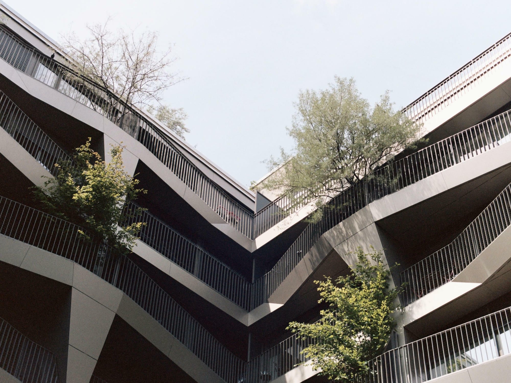 Einführung: Fassadenbegrünung | Stadt- und Dachbegrünung | Fassaden ...