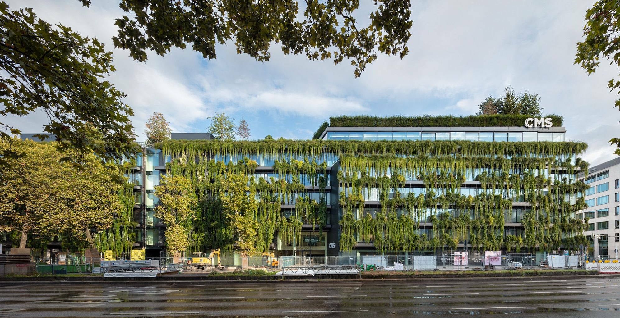 Einführung: Fassadenbegrünung | Stadt- und Dachbegrünung | Fassaden ...