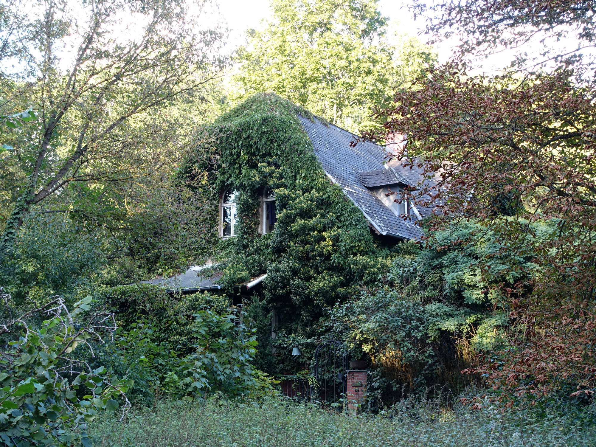 Fassadenbegrünungsrichtlinien | Stadt- und Dachbegrünung | Richtlinien ...