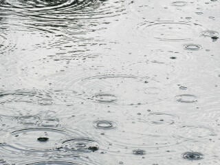 Wasserarten und -qualitäten | Wasserkreislauf | Einführung | BauNetz Wissen