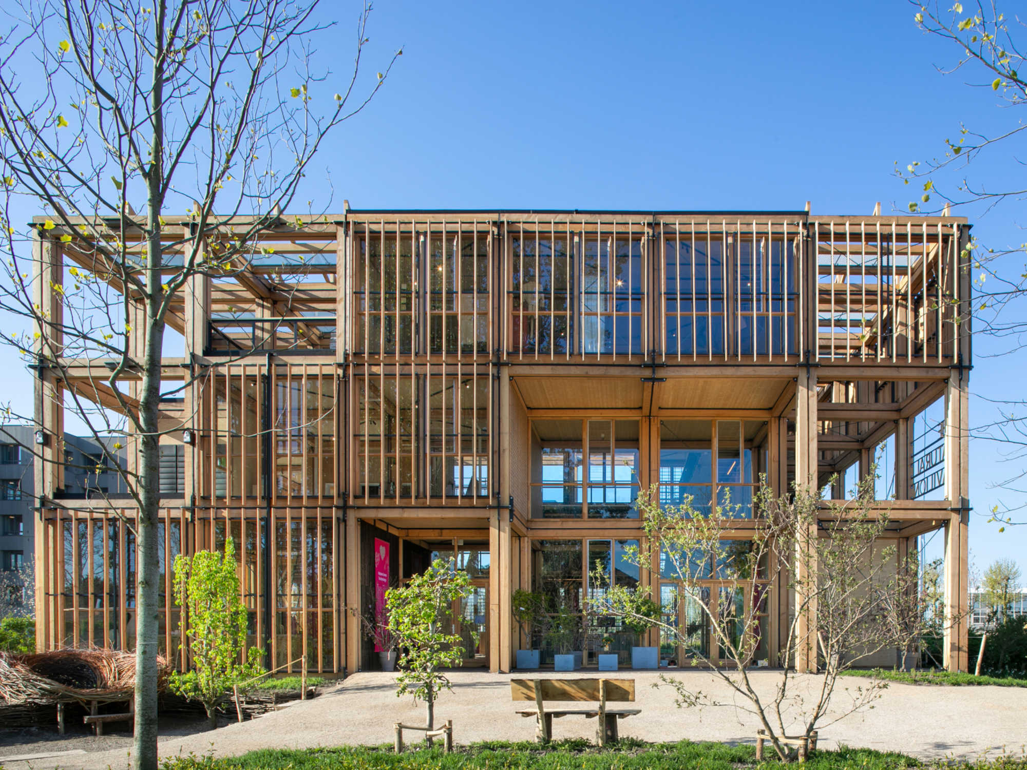 Kalamitätsholz | Holz | Ressource Holz | BauNetz Wissen