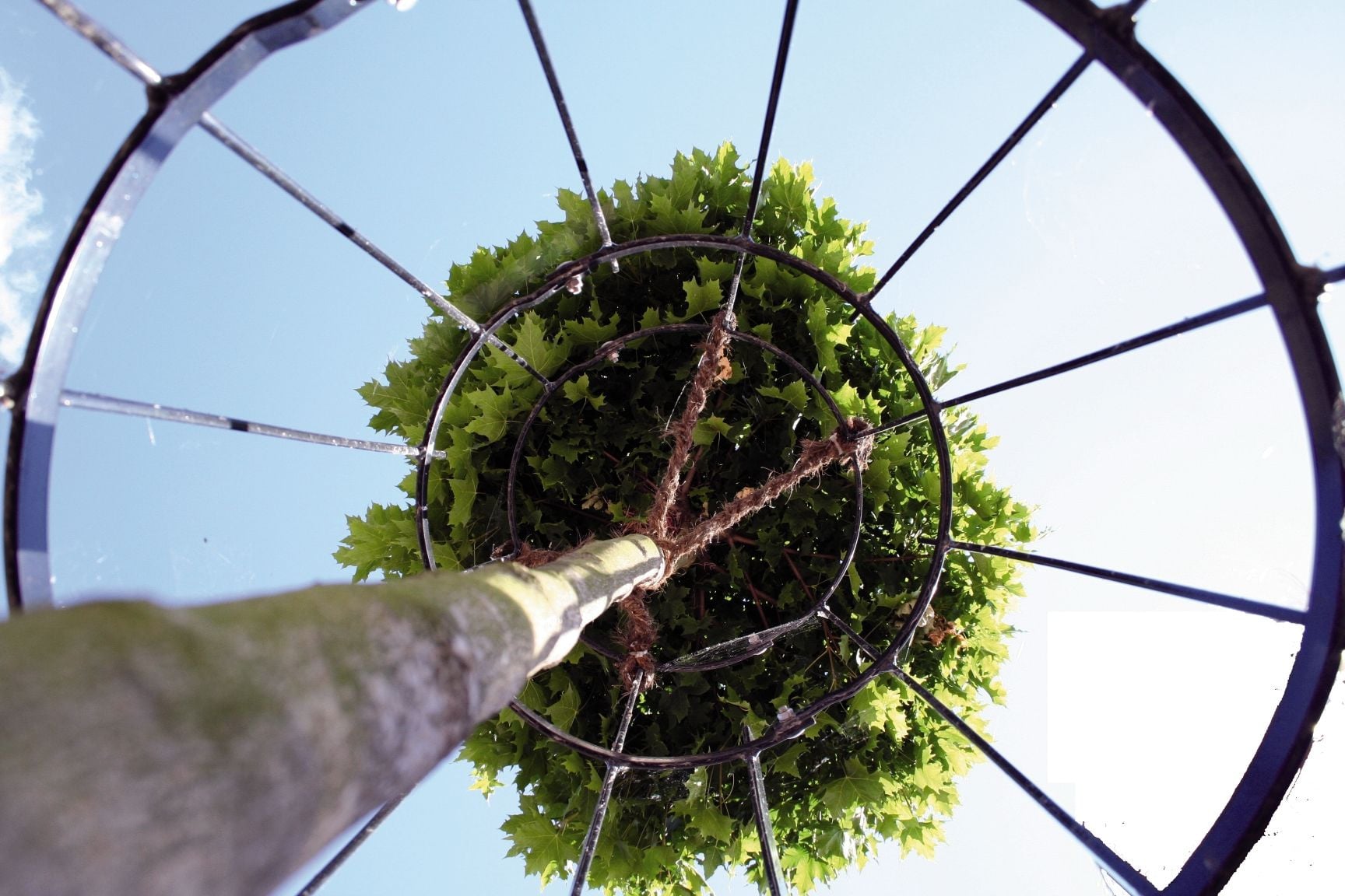 Baumschutzgitter | Wasserkreislauf | Glossar | BauNetz Wissen