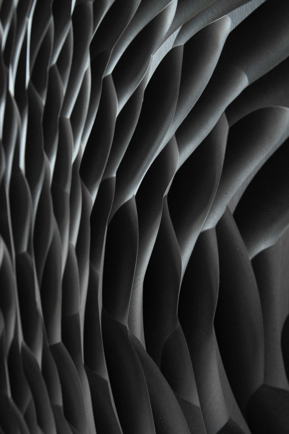 Vom Algorithmus geformte Wandpaneele | Akustik | News/Produkte | Baunetz_Wissen