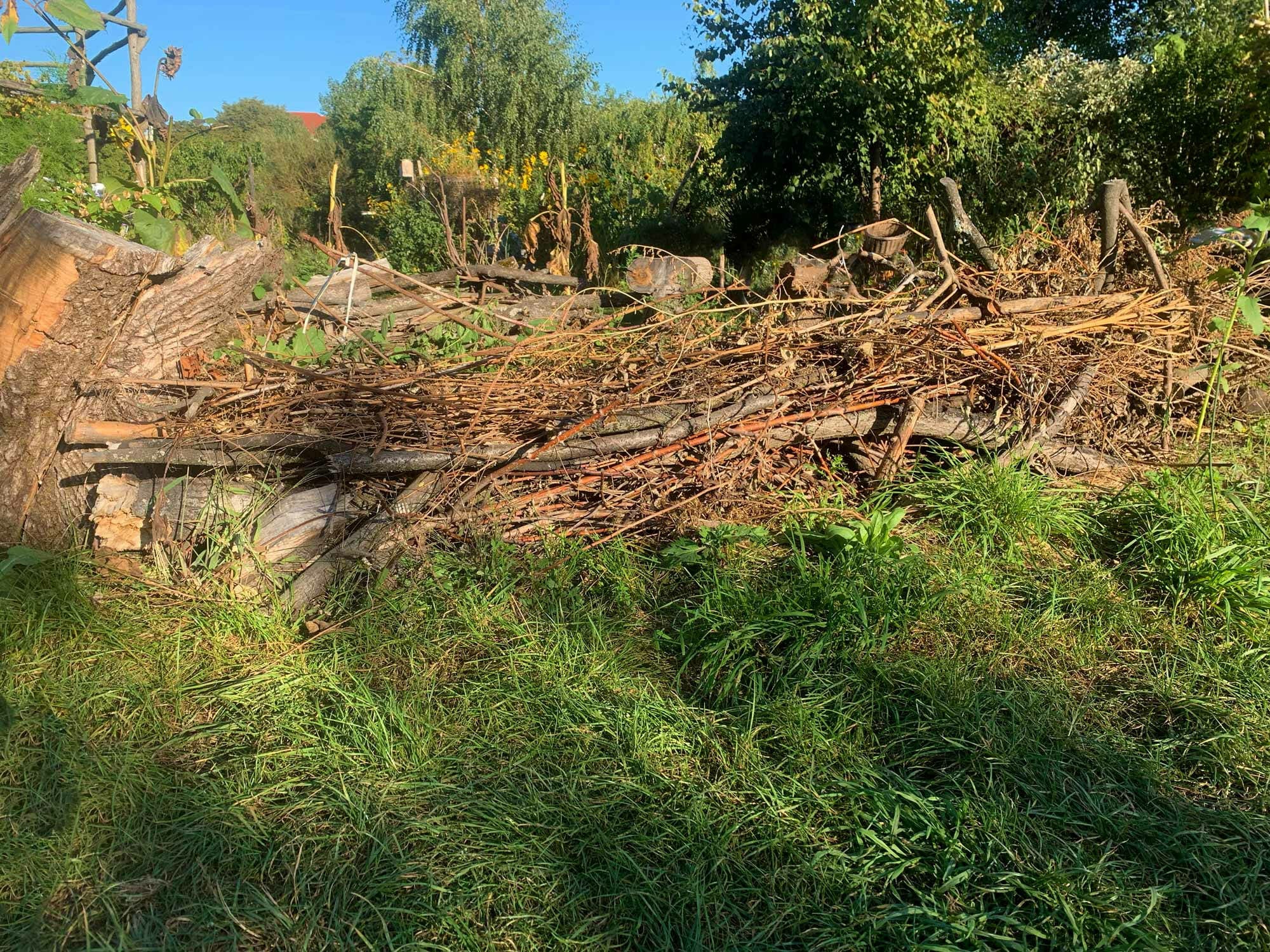 Ruderal- und Pioniervegetation | Stadt- und Dachbegrünung | Urban Green ...