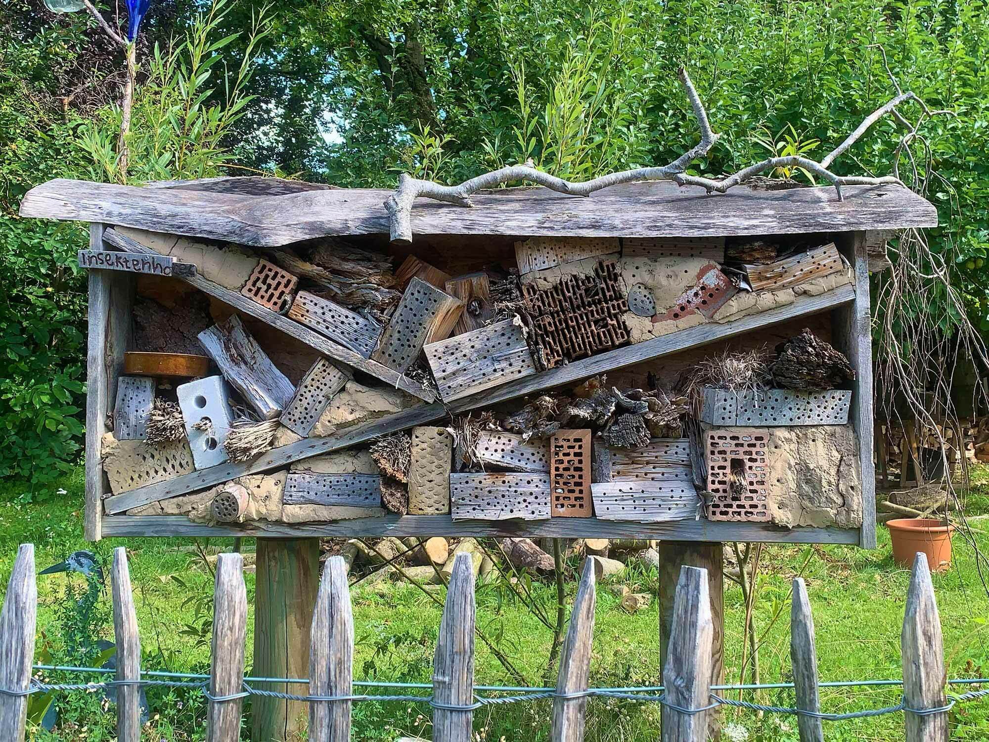 Biodiversität und Artenvielfalt auf Dächern | Stadt- und Dachbegrünung ...
